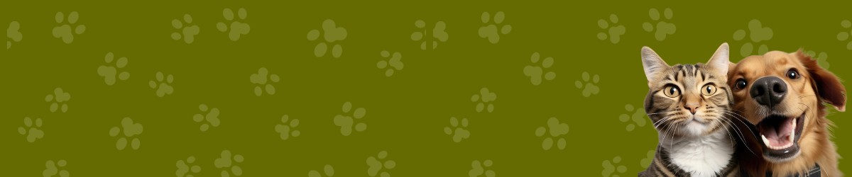 Best Seller – CuddleBuds